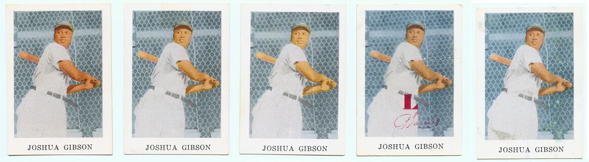 Discovering Josh Gibson: The Great Toleteros Find